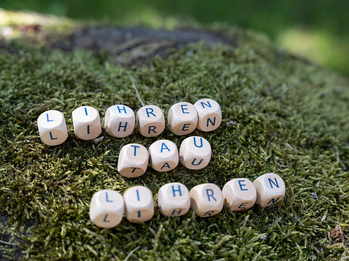 Stärkung der Lehrer*innenausbildung Niederdeutsch - Fakultät ...